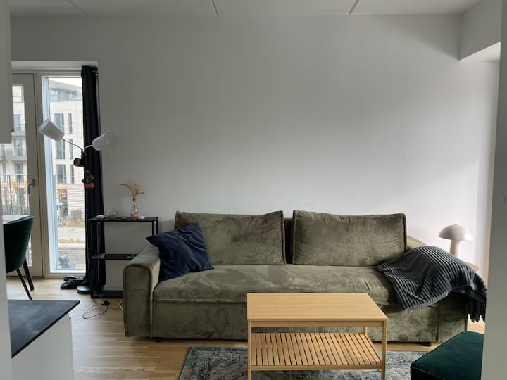 Copenhagen Waterfront Apartment - Copenhague