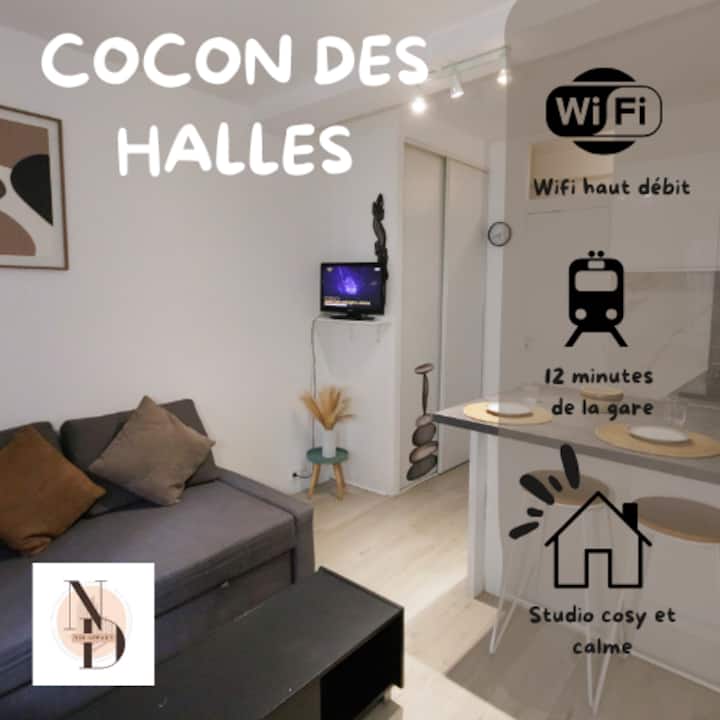 Cocon Des Halles - Centre Historique Troyes - Troyes