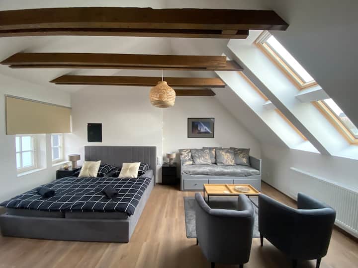 Apartmány Keřová - Ak4 - Pilsen