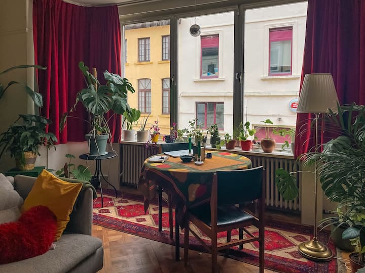 Newly Renovated 1 Bedroom Apartment - Gent