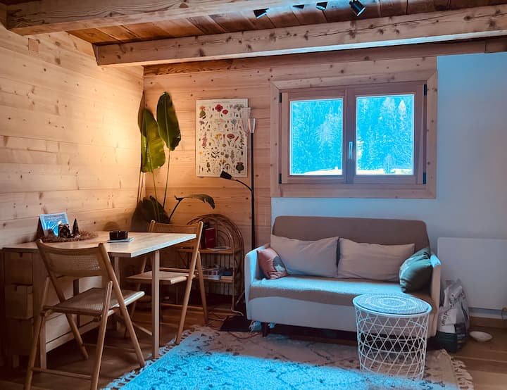 Ancien Mazot Rénové - Argentière