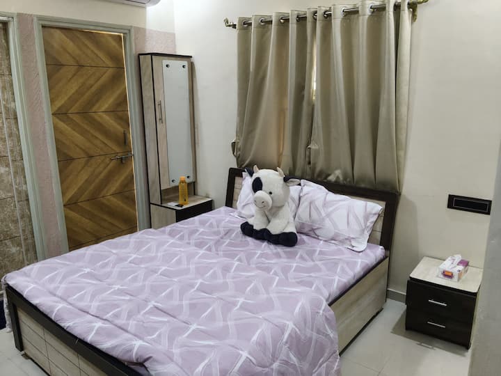 The Golden Glow - Ahmedabad