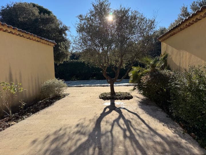 Au Pied Du Ventoux - Mont Ventoux