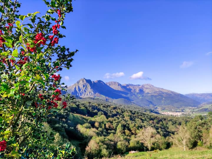 El Rincón De Deva - Carranza