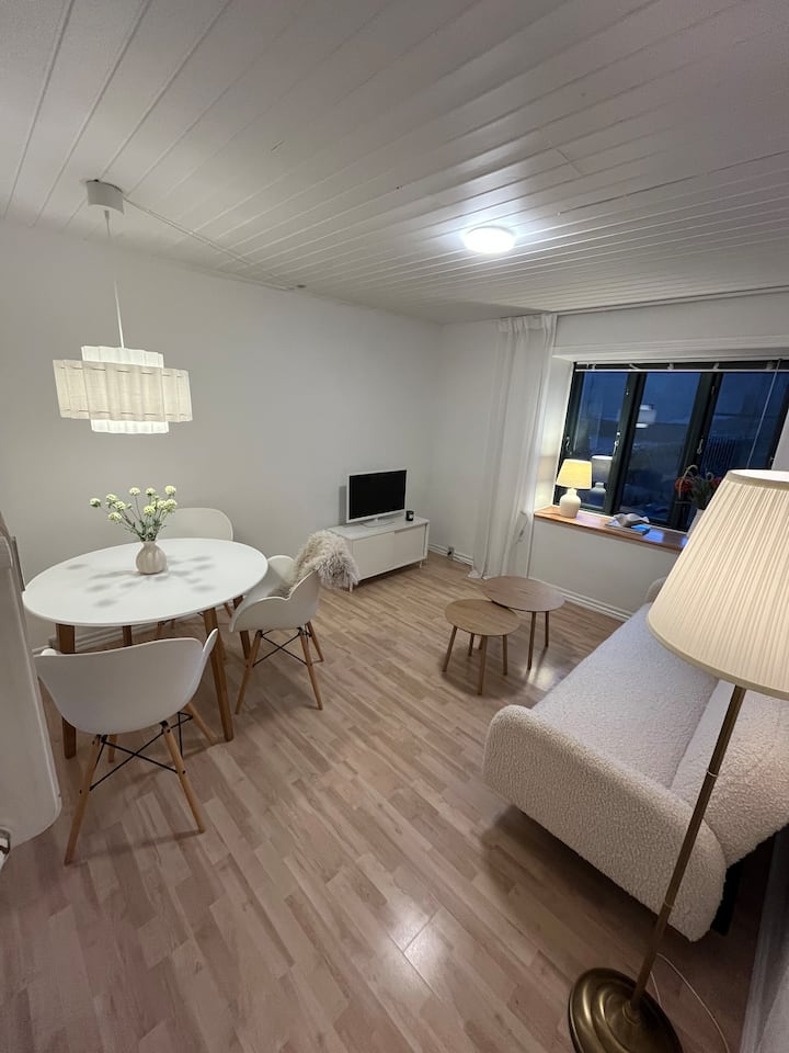 Hyggelig Lejlighed På Det Dejlige Trøjborg - Aarhus