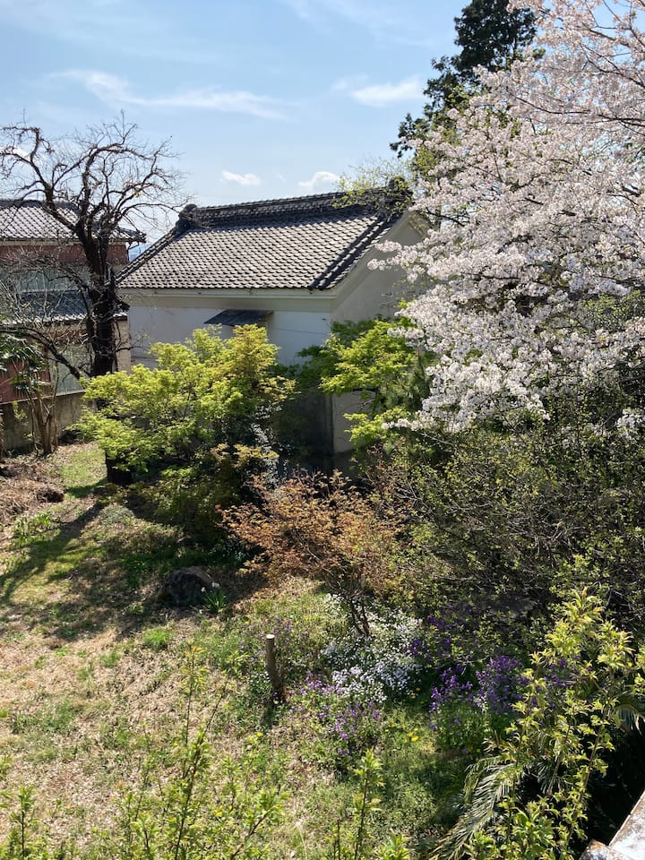 Kura And Sakura Kamisato - 伊勢崎市