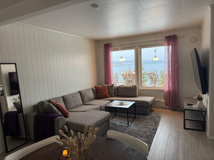 Flott Leilighet Med Ett Soverom. - Alta