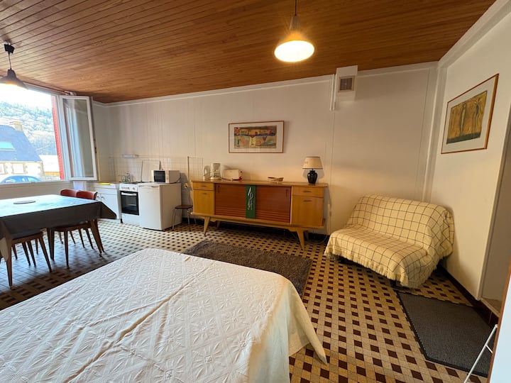 Prairie N°4grand Studio Calme -Rdc Au Mont Dore - Orcival