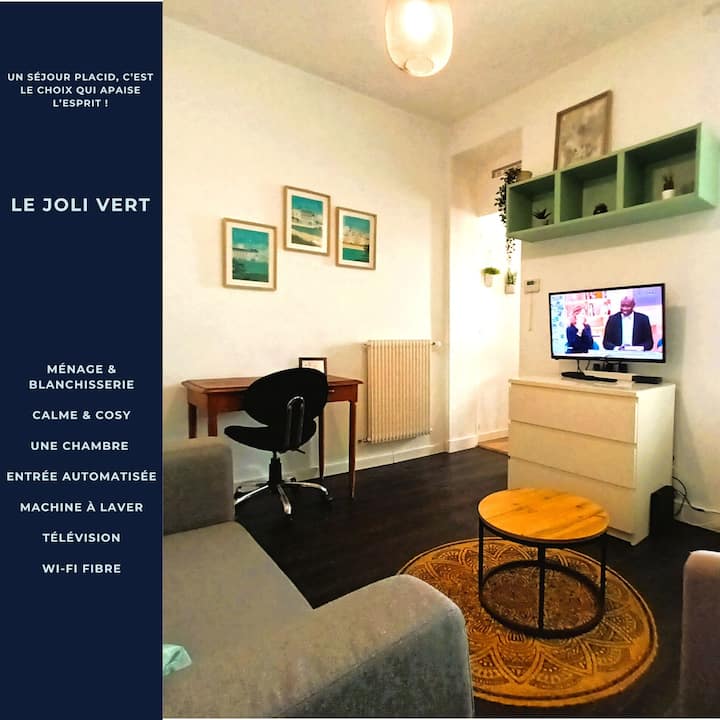 Le Joli Vert - T2 - Cosy - Wifi - Tv - Lave-linge - Tours