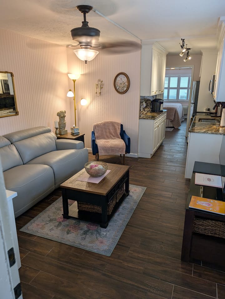 Intimate 1br King Condo, Ground Floor, Lake Access - Land O' Lakes, FL