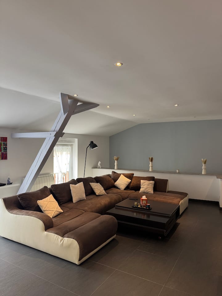 Les Rêves D'alya - Jacuzzi & Sauna Au Centre-ville - Mulhouse