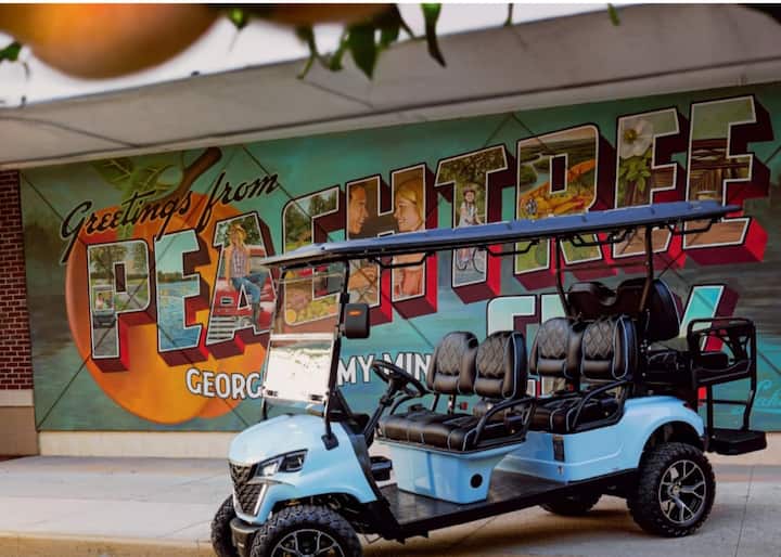 Atlanta Lake Getaway - Peachtree City, GA