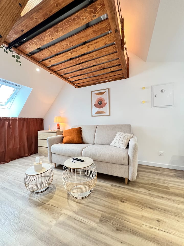 Studio Neuf Hyper Centre Proche Zoo - L'audacieux - Saint-Aignan