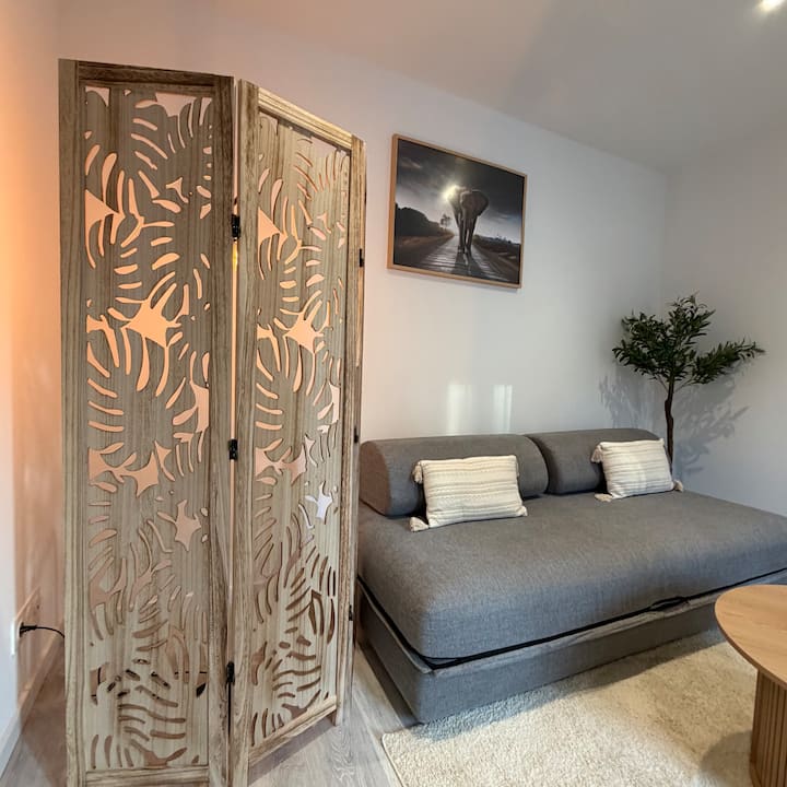 Cocon Lumineux Classé 4 éToiles - Thermes Contrex - Vittel