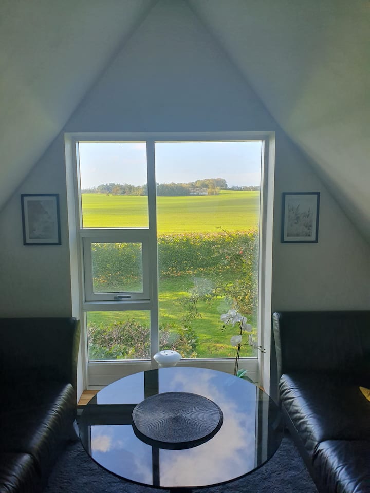 Flyvbjergvej - Danemark