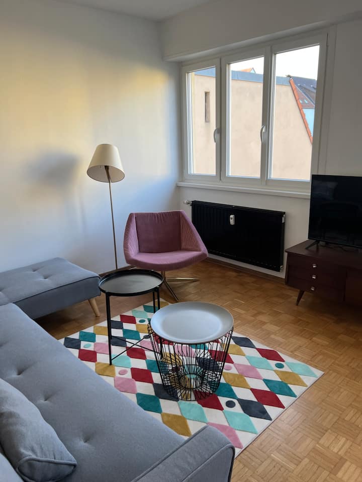 Très Bel Appartement Neudorf - Strasbourg