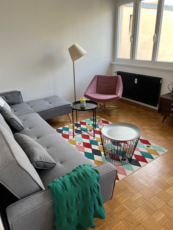 Très Bel Appartement Neudorf - Strasbourg