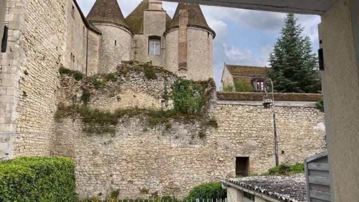 Maison Atypique Au Pied Du Château De Nemours - Nemours