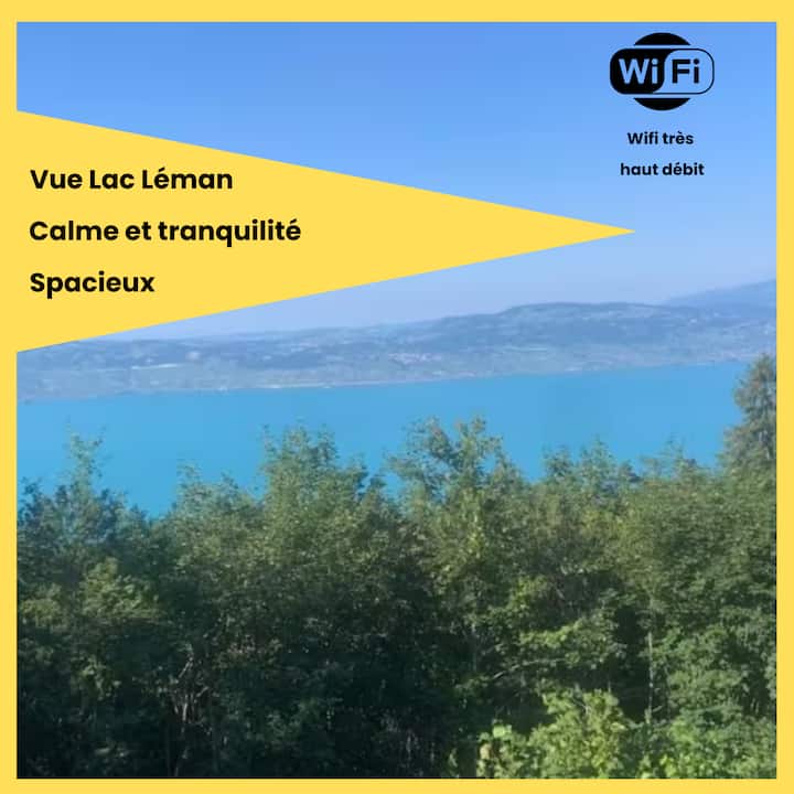 Le Refuge Des Sommets - Thollon-les-Mémises