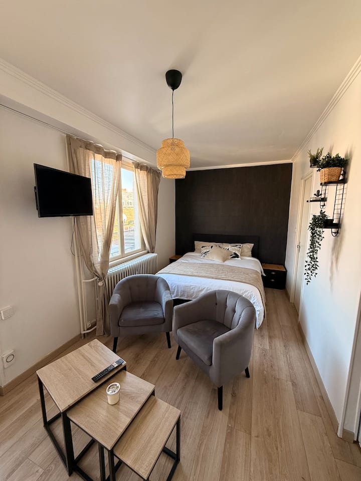 Studio En Plein Centre De Mulhouse - Mulhouse