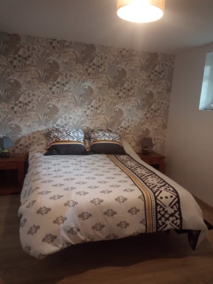 Charmant Appartement à Proximité Du Centre-ville - Laval
