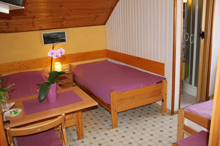 Pohorje Rooms 2 Free Parking - Maribor