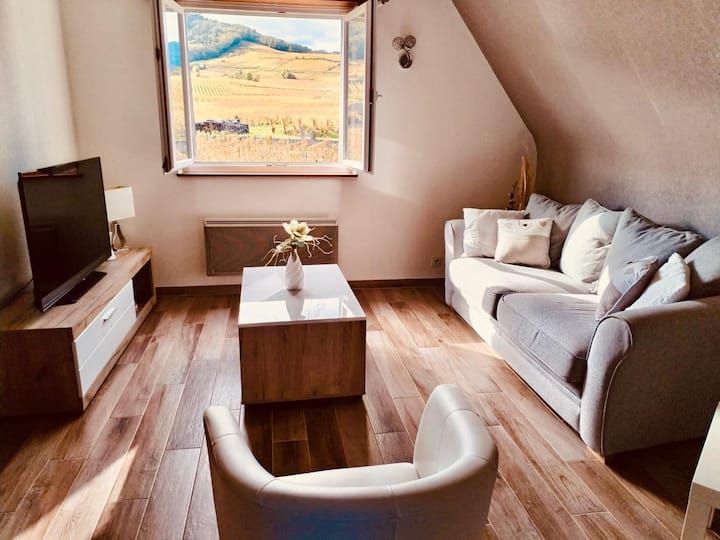 Gîte Au Cœur Du Vignoble - Ammerschwihr