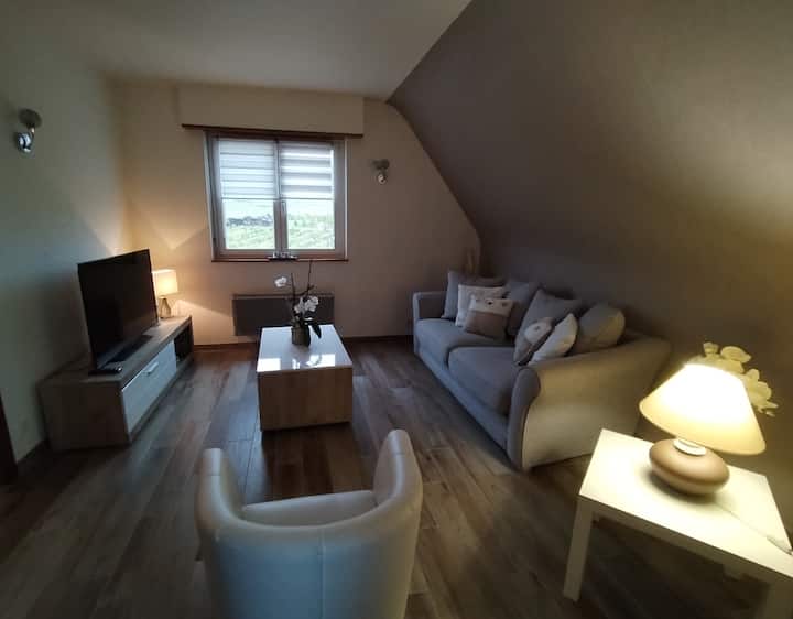 Logement Au Cœur Du Vignoble - Riquewihr