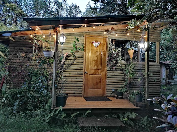 La Galería - Antioquia