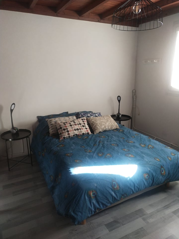 Maison A Louer Avec 5 Chambres - Saint-Quentin-Fallavier