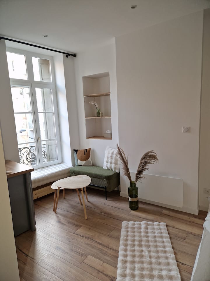 Studio Chaleureux - Proche De La Gare - Saint-Étienne