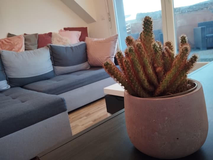 Escapade Cosy Dans T2 Lumineux, Proche Colmar - Colmar