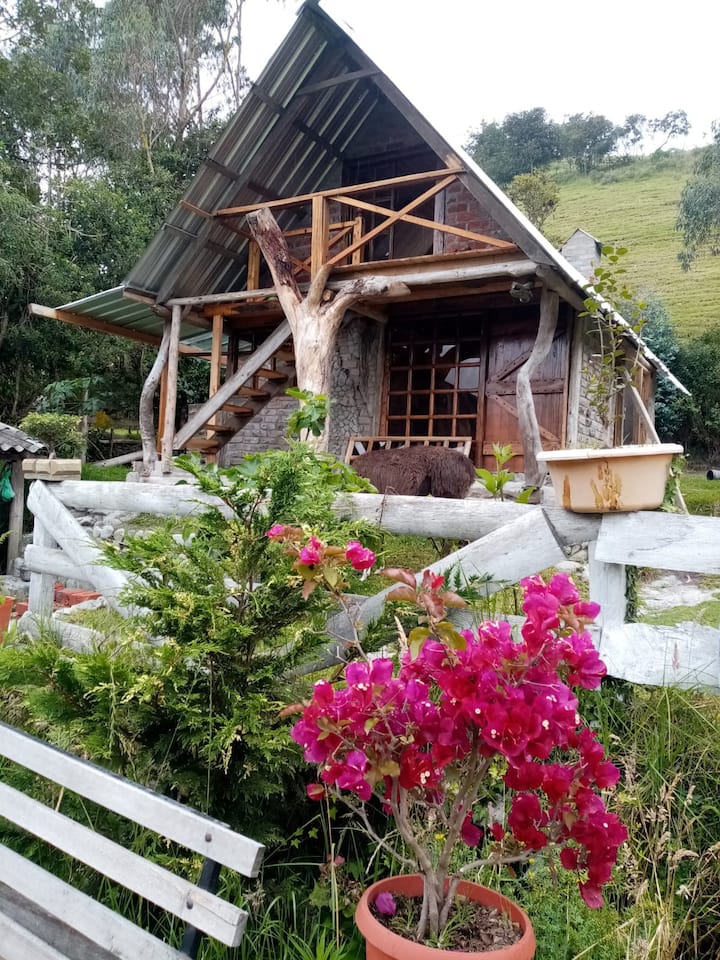 Volcán Wasi - Chimborazo