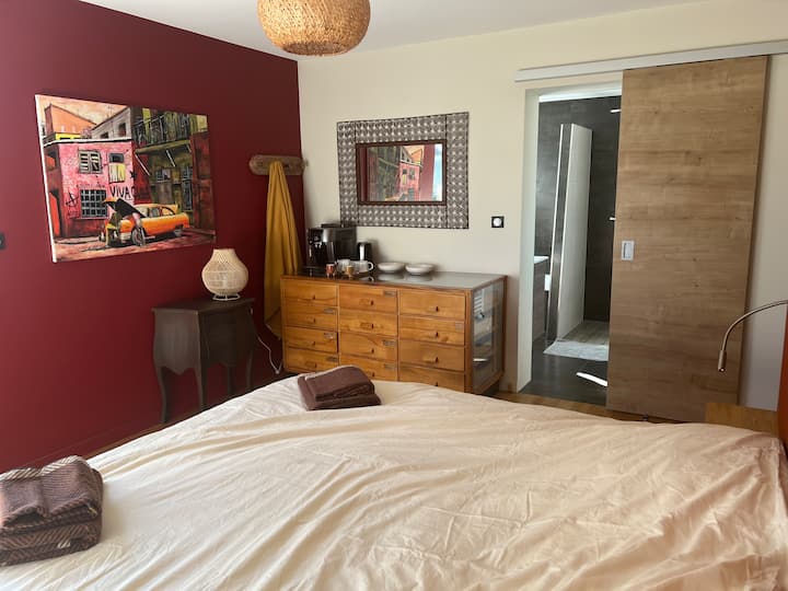 Chambre Individuelle Dans Une Maison Familiale - Illkirch-Graffenstaden