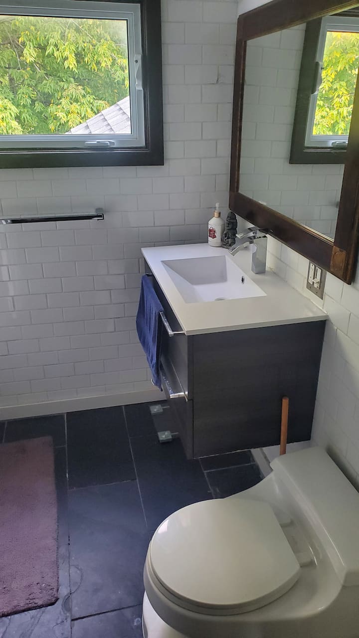 Long Term Laneway House - Toronto, ON