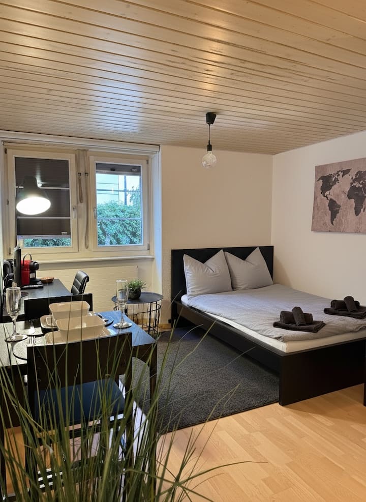 Modern City Apartment With Free Parking - Lucerna