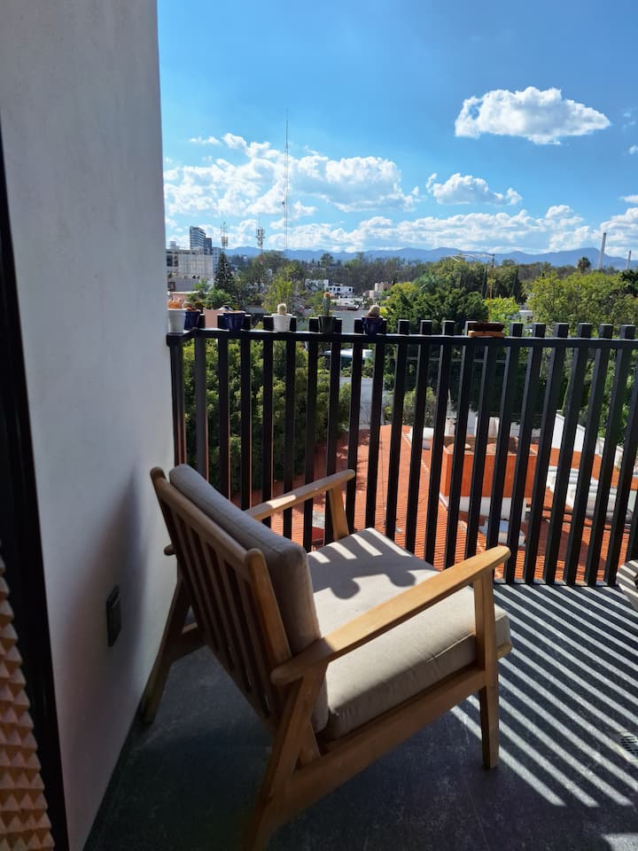 Depa De Las Biznagas - San Luis Potosí