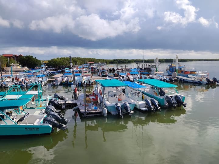 Hotel Selva Y Mar - Isla Holbox