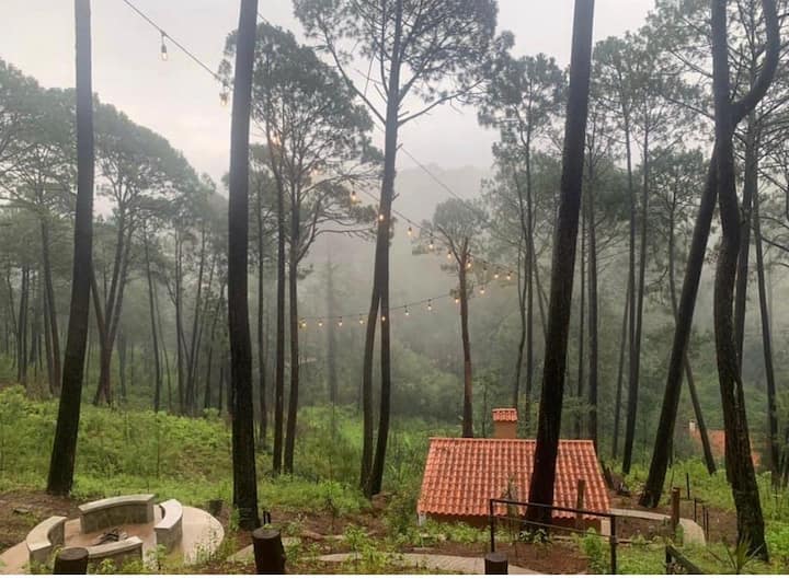 Cabaña Pata De Elefante - Mexico