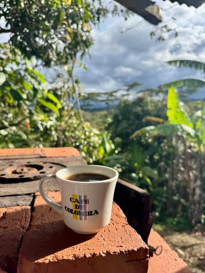 Flores De La Colina 2 - Barbosa