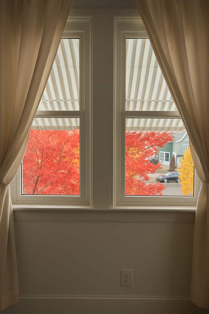 Bright Cozy Home - Takoma Park, MD