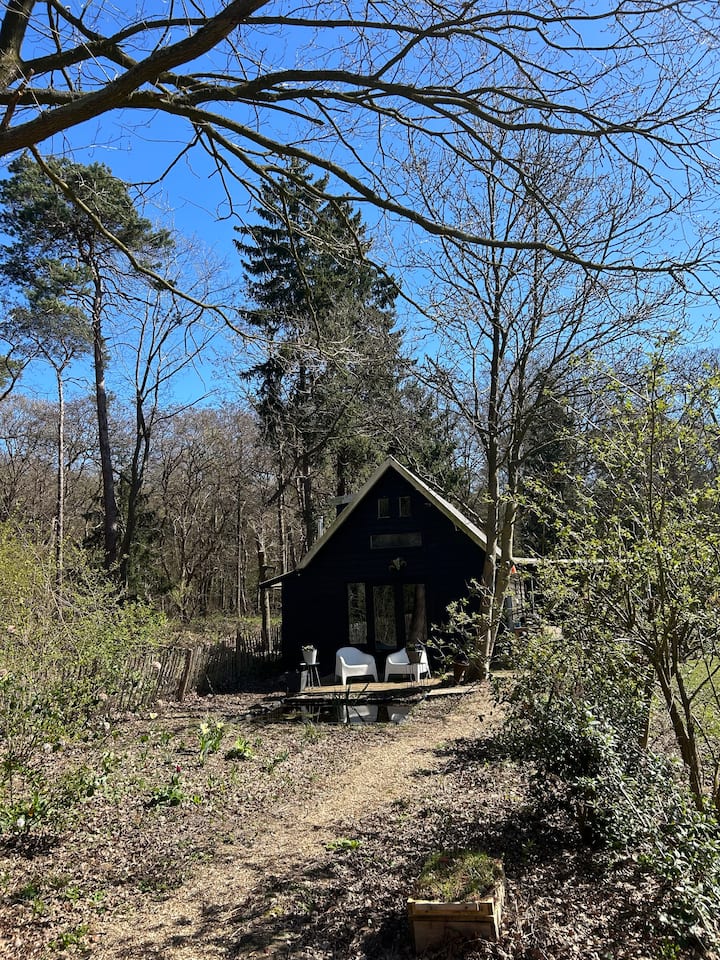 Heerlijk Ruim Gastenverblijf - Gelderland