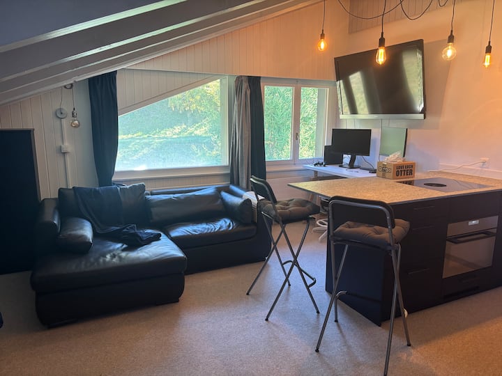 A 5 Minutes à Pied Des Pistes - Sion