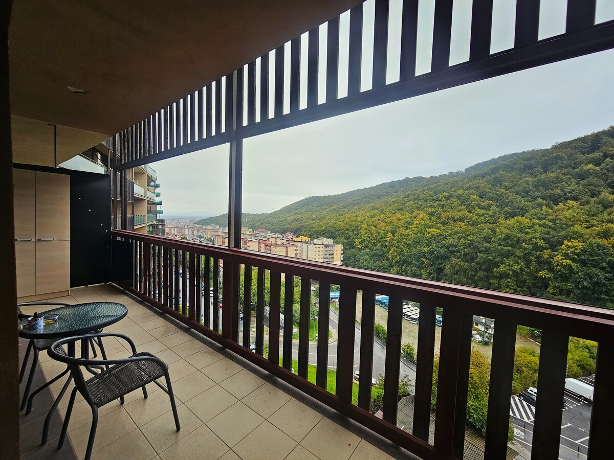 City Meadow Apartment - Flats for Rent in Brașov, Brașov, Romania - Airbnb
