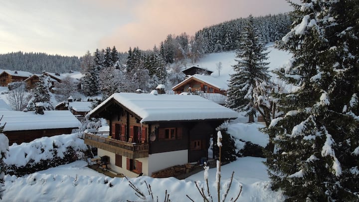 Chalet Le Chavan Avec Vue Magnifique - 6/8 Pers - Le Chinaillon