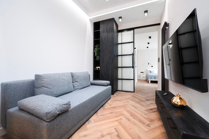 Piotrkowska Grand Avenue Apartment #C - Łódź