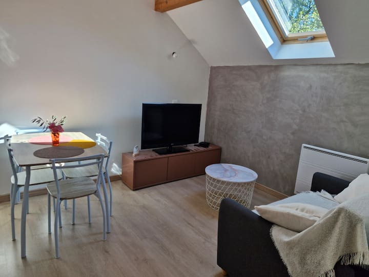 Studio Indépendant 2/4 Personnes - Lac du Bourget