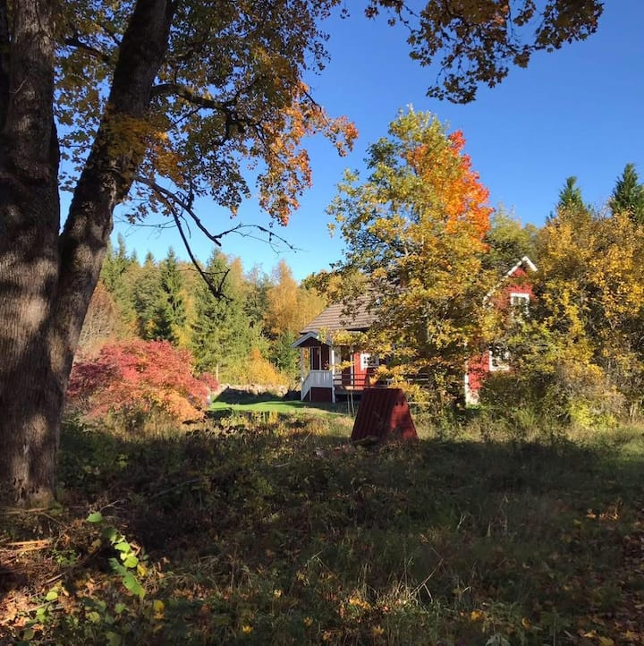 Charmigt Hus I Rogivande Natur, Nära Skog Och Sjö! - Tingsryd