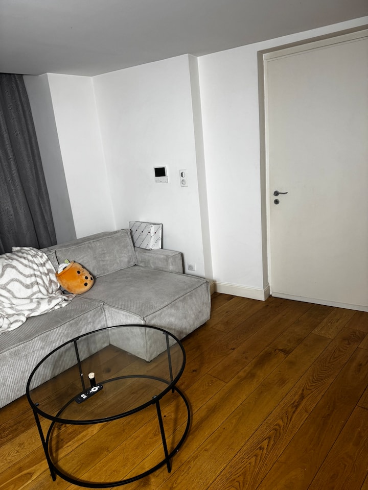 Appartement Proche-du-centre-ville - Strasbourg