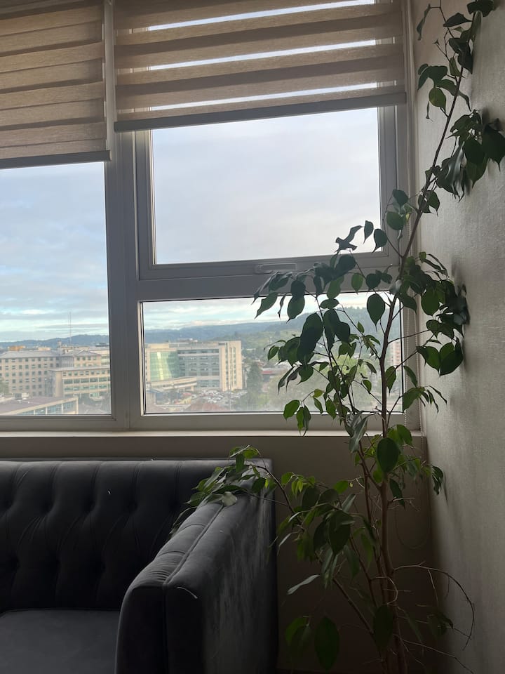 Departamento Central A Pasos De Av. Alemania - Temuco